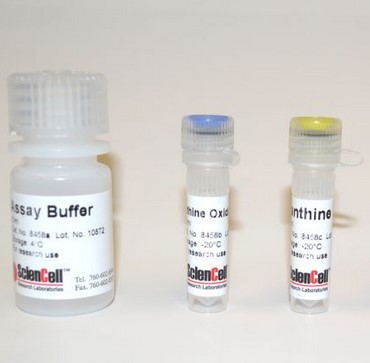 Oxidative Stress| Biosan