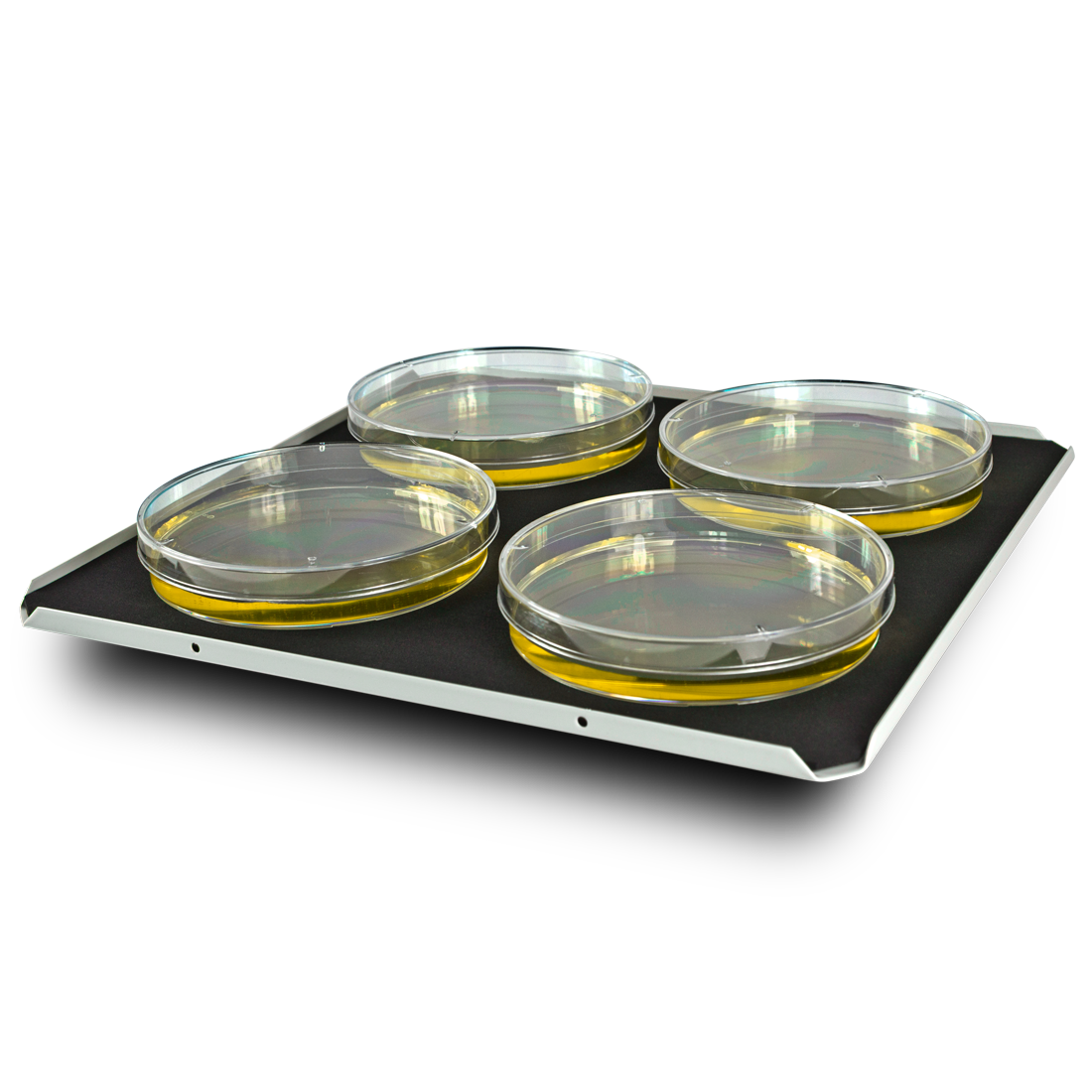 PP-4, platform| Biosan