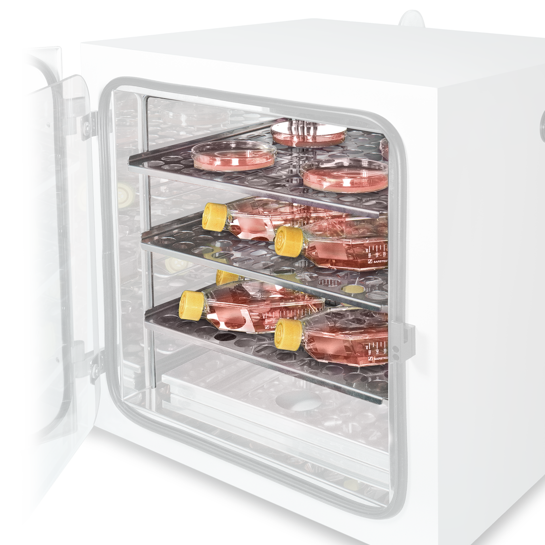 RS6, rack with 3 shelves| Biosan