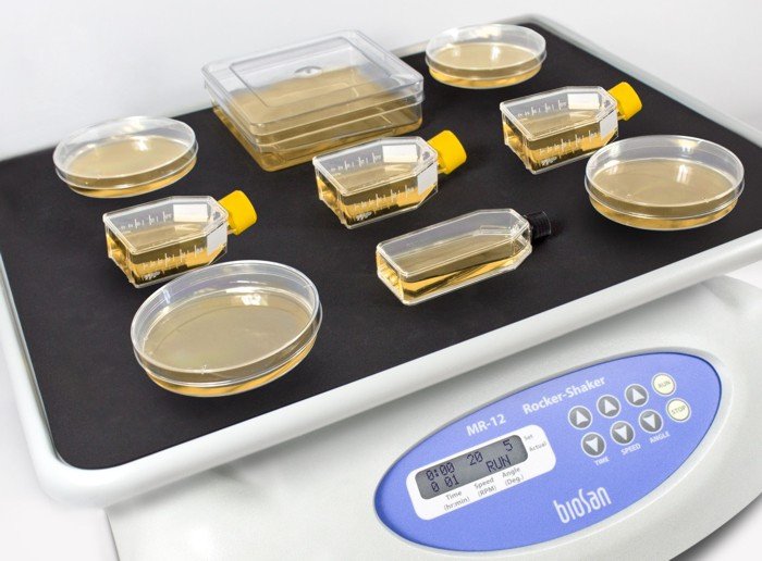 Rocker-Shaker MR-12| Biosan