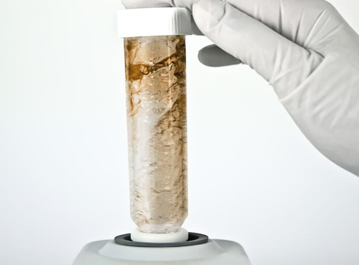 Personal Vortex V-1 plus| Biosan